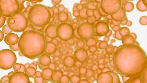 Body Fat Stock Footage ~ Royalty Free Stock Videos | Pond5