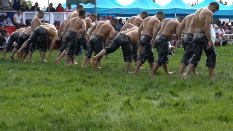 I Show Fat Stock Videos – Royalty-Free HD & 4K Videos