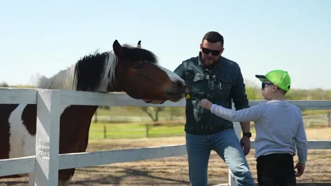 Father and son feed animals on a horse f... | Stock Video | Pond5