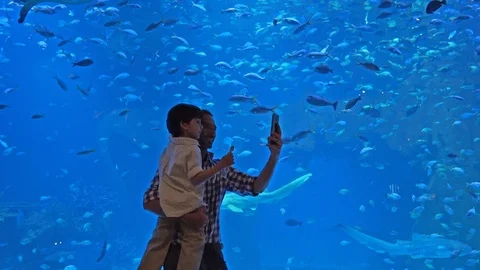 Take Of Son Stock Videos – Royalty-Free HD & 4K Videos