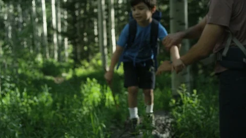 Father helps young boy onto a log, boy c... | Stock Video | Pond5