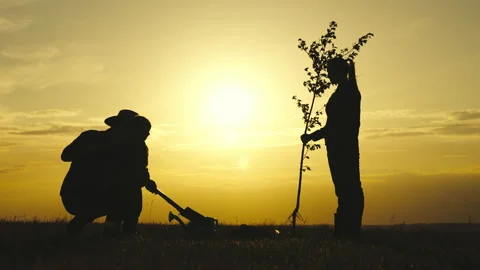 father mother child planting tree sunset... | Stock Video | Pond5