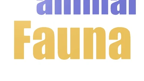 Fauna Word Cloud Animated On White Backg... | Stock Video | Pond5