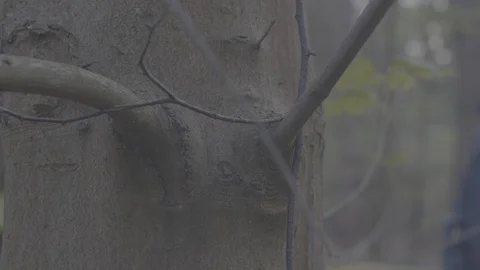 FBI agent standing guard at crime scene ... | Stock Video | Pond5