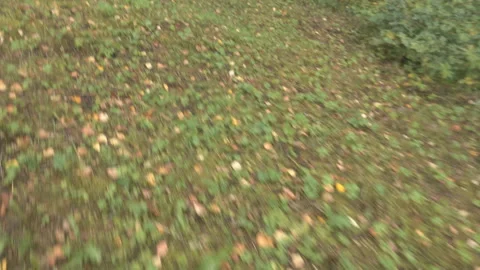 Fear run in panic through cemetery | Stock Video | Pond5