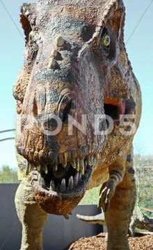 Fearsome carnivore dinosaur Tyrannosaurus Rex Stock Image #62247521