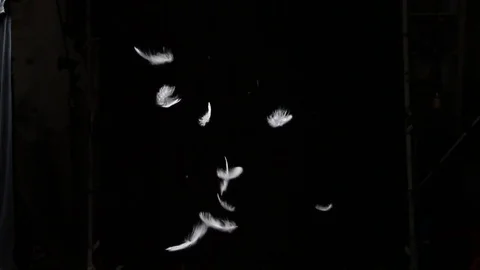 Back & Drop Stock Videos – Royalty-Free HD & 4K Videos