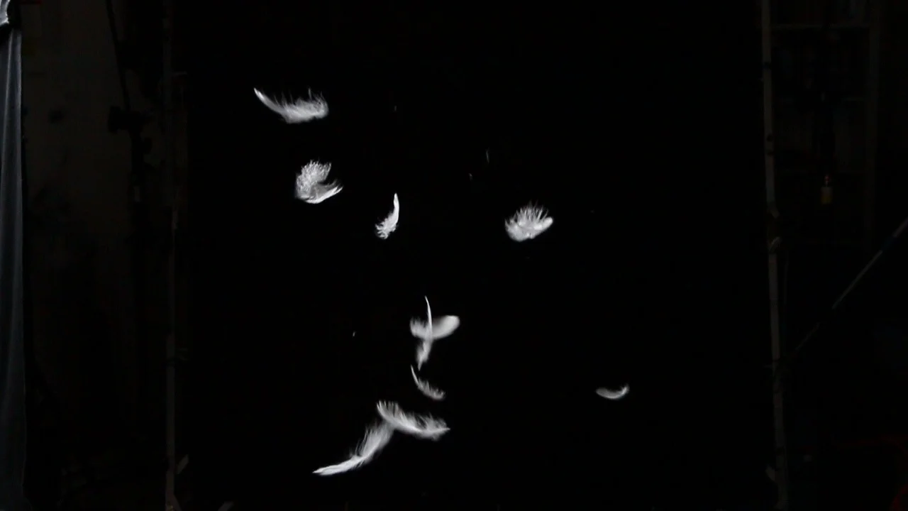 Black Feathers Falling Gif