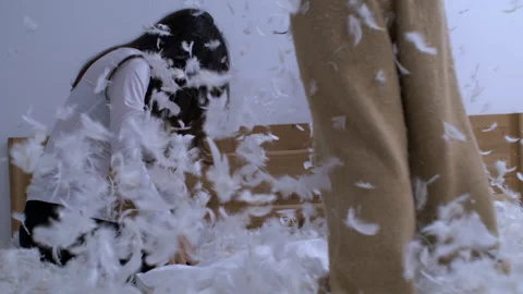 Pillow Fight Feathers Stock Videos – Royalty-Free HD & 4K Videos