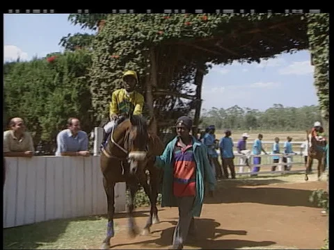 FEATURE: HORSE RACING IN KENYA | Stock Video | Pond5