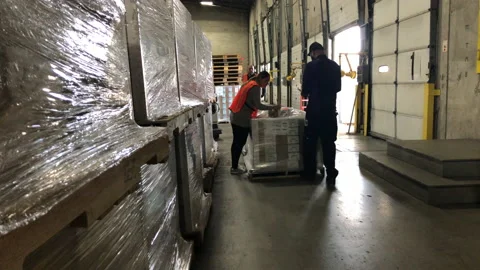 Driver Cost Delivery Stock Videos – Royalty-Free HD & 4K Videos