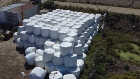 feed triticale silage, cattle feed, dron... | Stock Video | Pond5