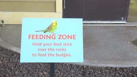Feeding Zone - Bird Signage | Stock Video | Pond5