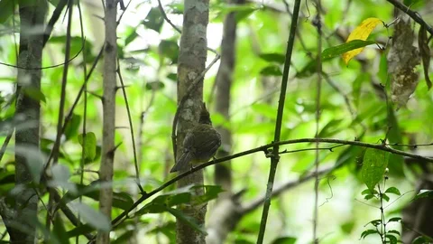 Feel So Good Stock Videos – Royalty-Free HD & 4K Videos