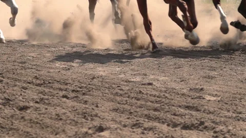 The Feet of the Horses at the Racetrack | Stock Video | Pond5