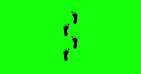 Feet Animation Stock Videos – Royalty-Free HD & 4K Videos