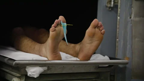 Toe Tag Dead Morgue Stock Footage ~ Royalty Free Stock Videos | Pond5