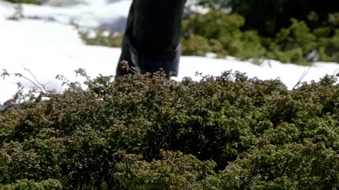 Go Pat Stock Videos – Royalty-Free HD & 4K Videos