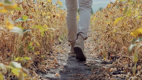 Feet Walk On Field. Bare Feet Soiled Wit... | Stock Video | Pond5