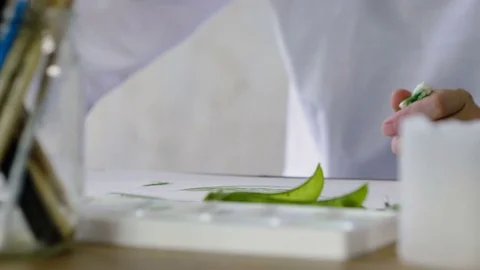 Pod Life 8K Stock Videos – Royalty-Free HD & 4K Videos | Pond5