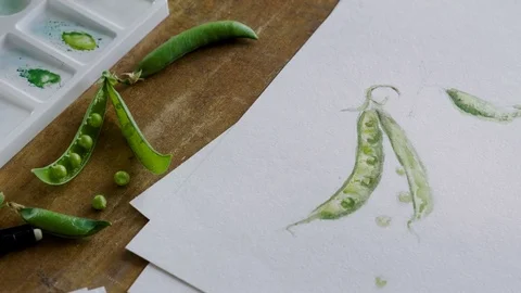 Pod Life 8K Stock Videos – Royalty-Free HD & 4K Videos | Pond5