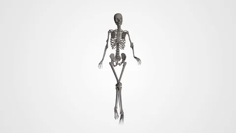 Womans Body Organs Stock Video Footage | Royalty Free Womans Body ...