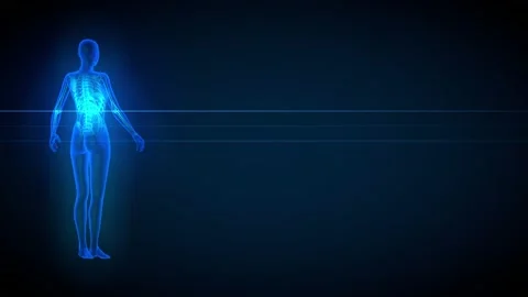 female body - x-ray scan with organs and... | Stock Video | Pond5