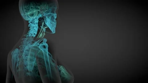 female body - x-ray scan with organs and... | Stock Video | Pond5
