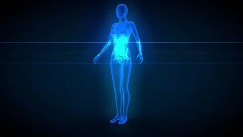 female body - x-ray scan with organs and... | Stock Video | Pond5