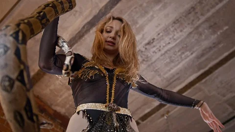 Snakes Dancing Stock Video Footage | Royalty Free Snakes Dancing Videos ...