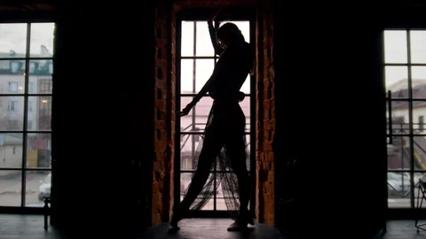 Female circus actress silhouette dancing... | Stock Video | Pond5