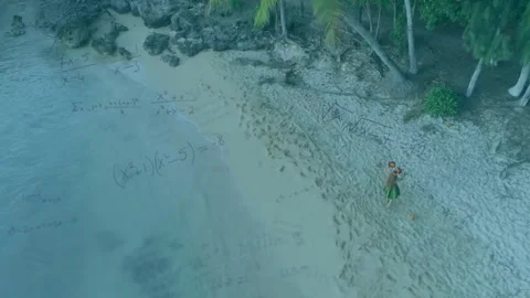 Hula Dancer Beach Stock Videos – Royalty-Free HD & 4K Videos