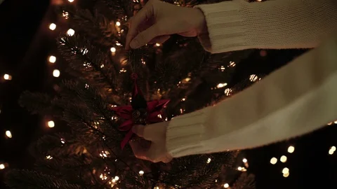 Female X Star Stock Videos – Royalty-Free HD & 4K Videos | Page 3