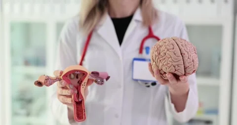 Female doctor demonstrates human uterus ... | Stock Video | Pond5