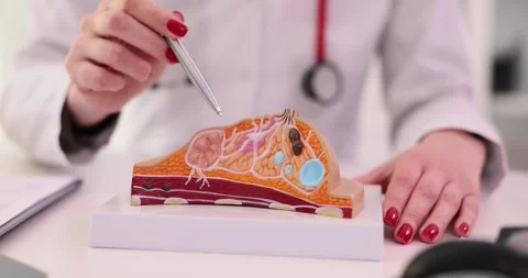 Female doctor explaining disease of mamm... | Stock Video | Pond5