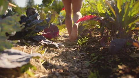 Female farmer walking barefoot through g... | Stock Video | Pond5