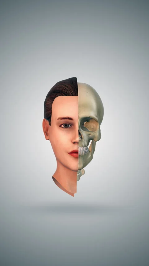 Female Half skull and face anatomy | Stock Video | Pond5