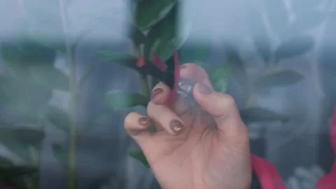 All About Draws Stock Videos – Royalty-Free HD & 4K Videos | Pond5