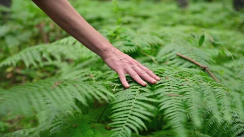 Long Female Fingers Stock Videos – Royalty-Free HD & 4K Videos | Pond5