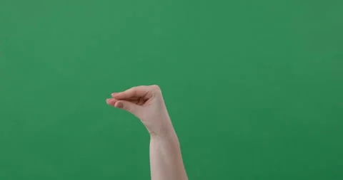Female hand showing talking hand open sh... | Stock Video | Pond5