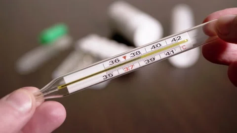 High Body Stock Videos – Royalty-Free HD & 4K Videos | Pond5