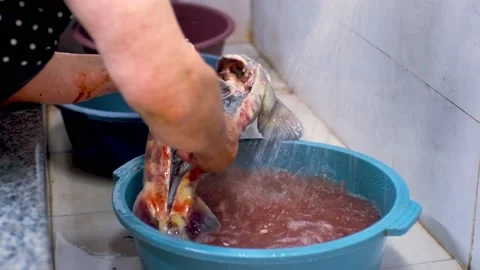 female hands wash large fish under water... | Stock Video | Pond5