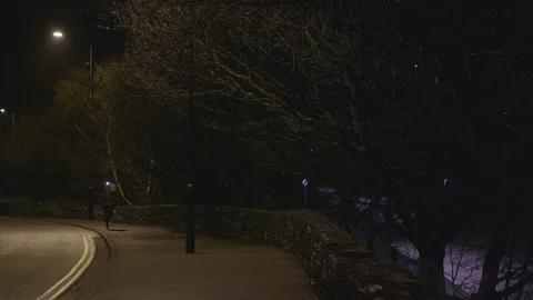 Torch When Night Stock Footage ~ Royalty Free Stock Videos | Pond5