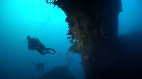 P Model Scuba Stock Videos – Royalty-Free HD & 4K Videos