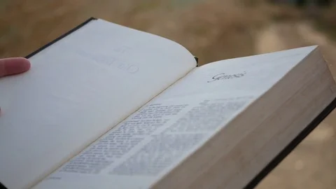 Genesis8 Female Stock Videos – Royalty-Free HD & 4K Videos