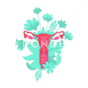 Female reproductive system flat concept vector illustration: Graphic ...