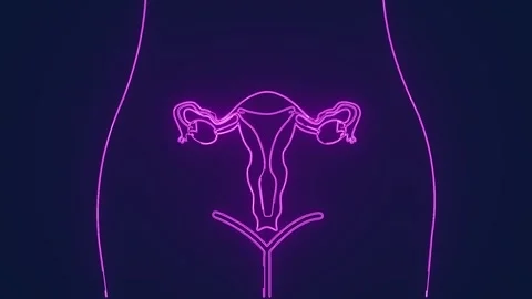 female reproductive system in human body... | Stock Video | Pond5