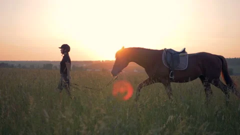 Female rider leads a horse through a fie... | Stock Video | Pond5