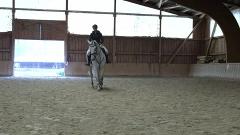 A female rider rides her white horse in ... | Stock Video | Pond5
