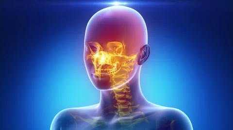 Female Body Anatomy Stock Video Footage | Royalty Free Female Body ...